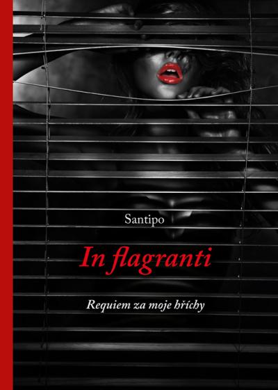 In flagranti – Requiem za moje hříchy - Nakladatelství Plot
